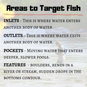 What is Fly Fishing? A Complete Beginners Guide - Learn How To Flyfish