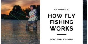 How Does Fly Fishing Work – How to Cast and Catch Fish - Learn How To ...